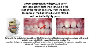 Orthodontic assessment of the patient | PPT