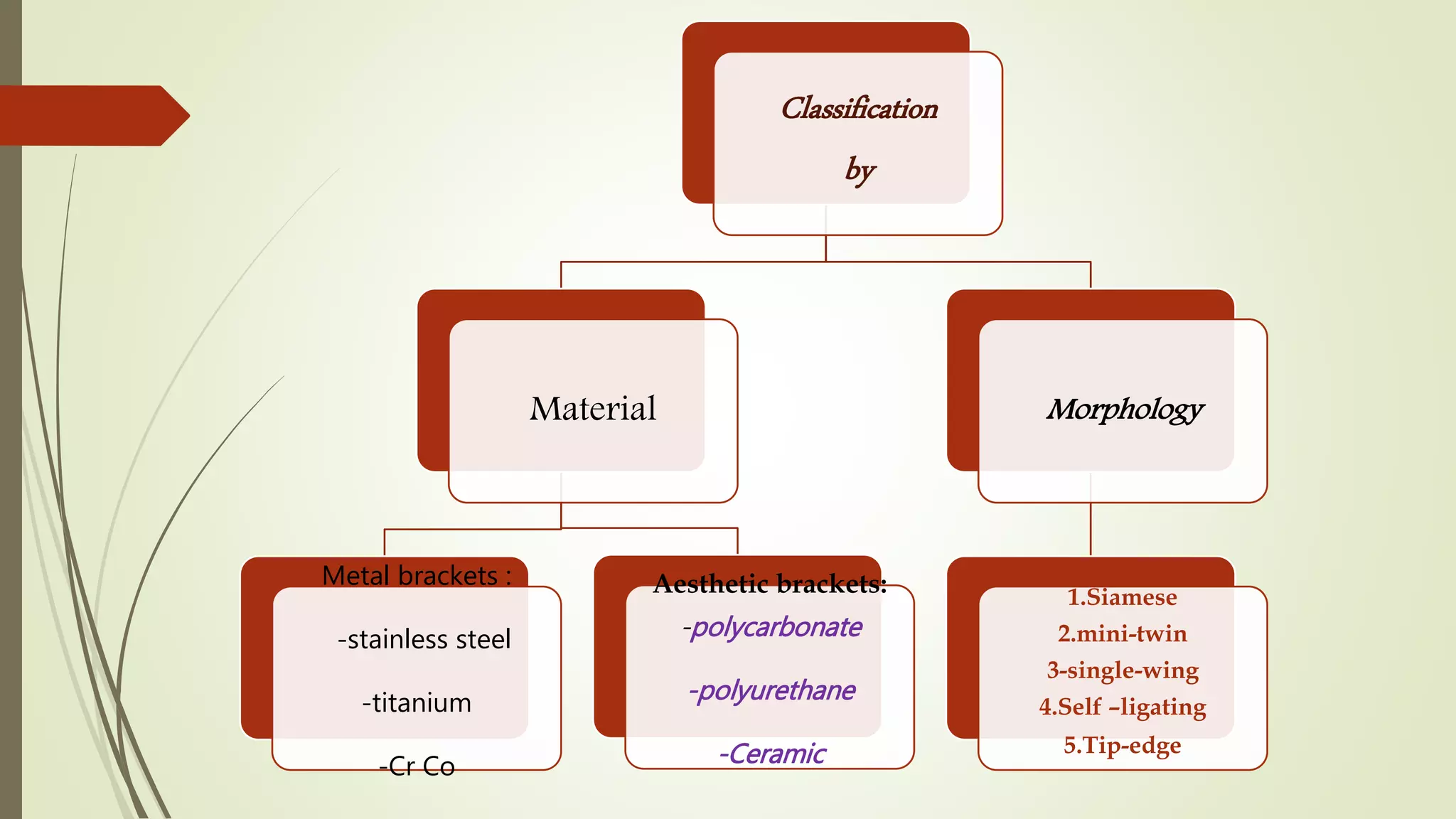 Orthodontic brackets | PDF