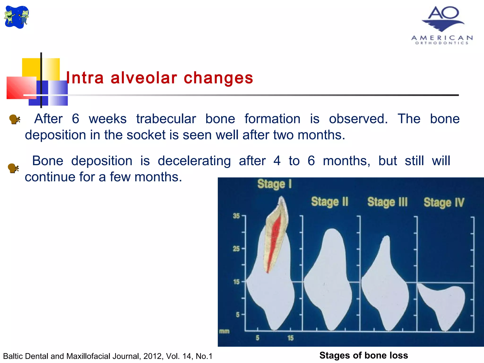 Orthodontic consideration of the old extraction site | PPT
