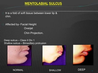 Orthodontic diagnosis | PPT
