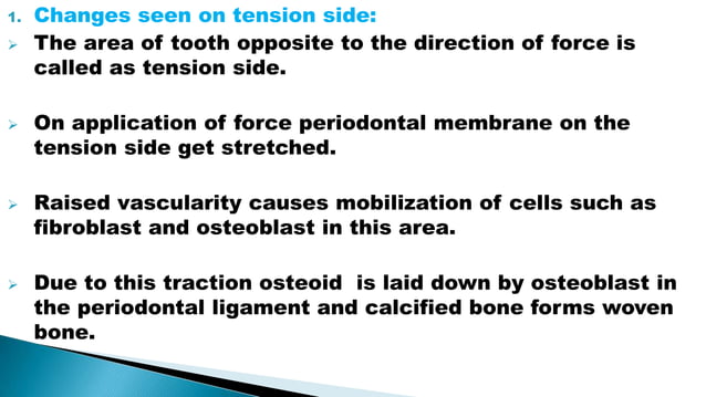Orthodontic fixed appliances | PPTX | Dental Health | Diseases and ...
