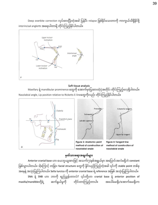 Orthodontic Notes with content and page number.pdf