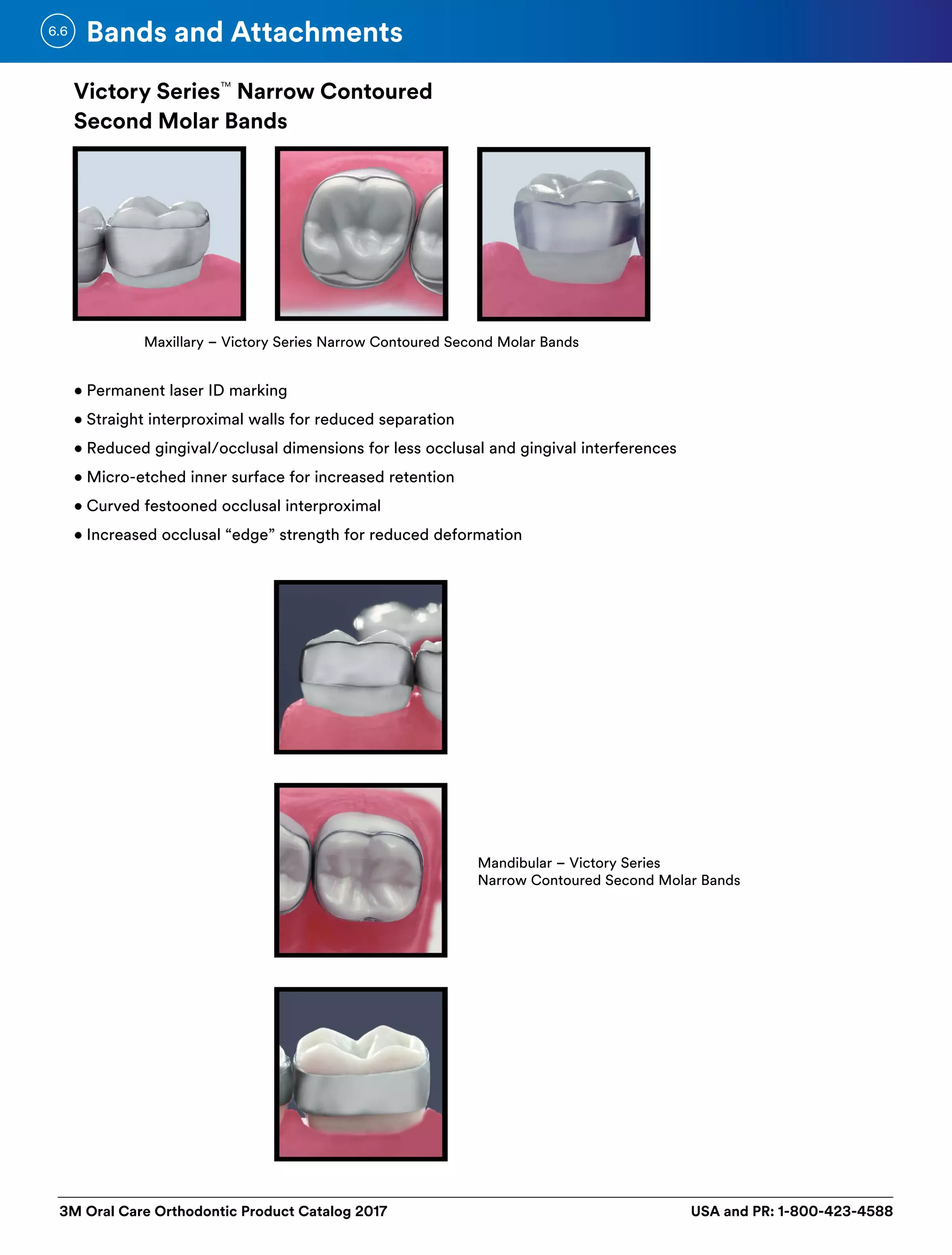 3M Orthodontic Product Catalogue | PDF