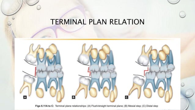 Orthodontics At A Glance.pptx