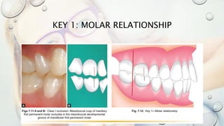 Orthodontics At A Glance.pptx