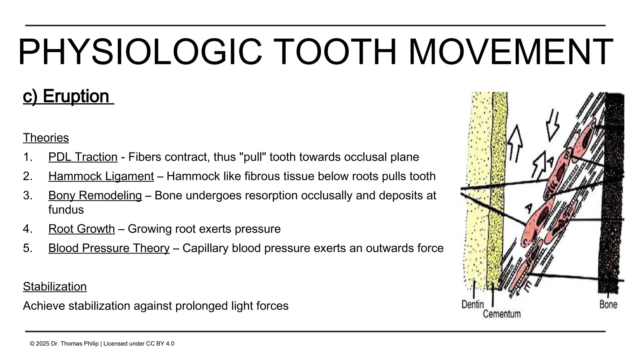 FORCE SYSTEMS AND TISSUE RESPONSE TO FORCES IN ORTHODONTICS.pptx