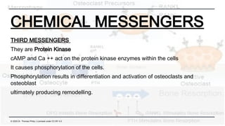 FORCE SYSTEMS AND TISSUE RESPONSE TO FORCES IN ORTHODONTICS.pptx