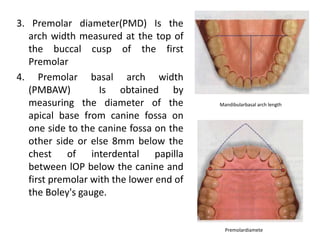 Orthodontic study models | PPT