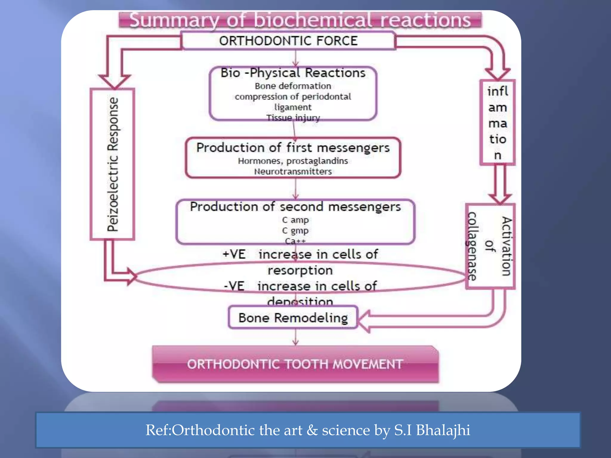 biology/biomechanics of tooth movement by dr.shadman zakir | PPTX