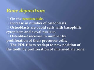 biology/biomechanics of tooth movement by dr.shadman zakir | PPTX