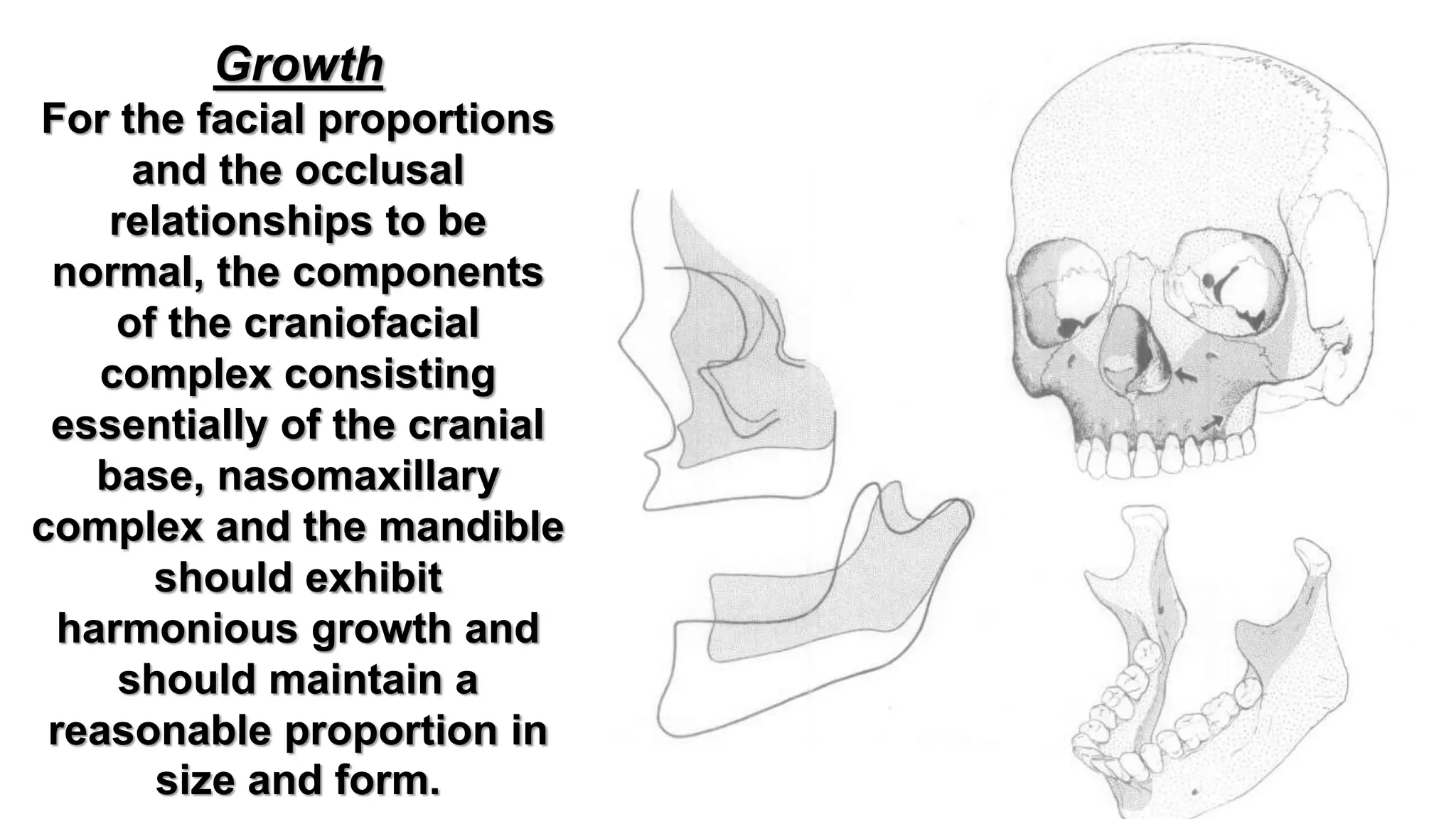 Orthodontic vertical discrepancies 1- LONG FACE | PPTX