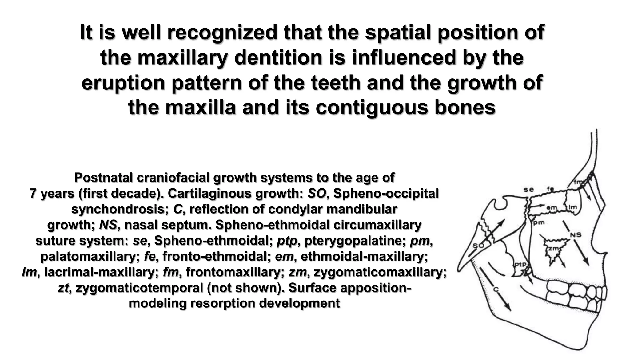 Orthodontic vertical discrepancies 1- LONG FACE | PPTX