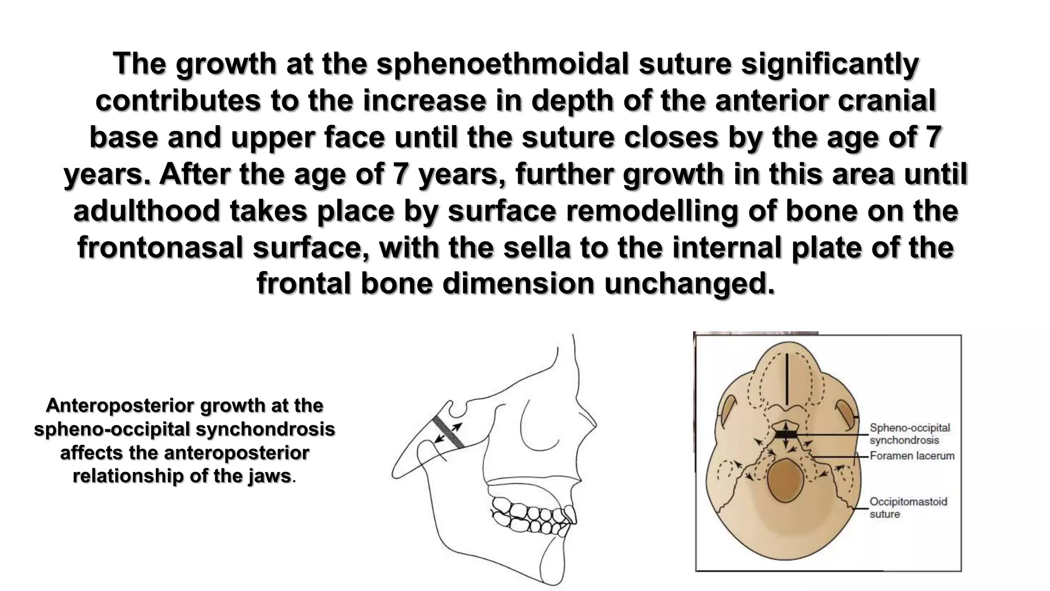 Orthodontic vertical discrepancies 1- LONG FACE | PPTX