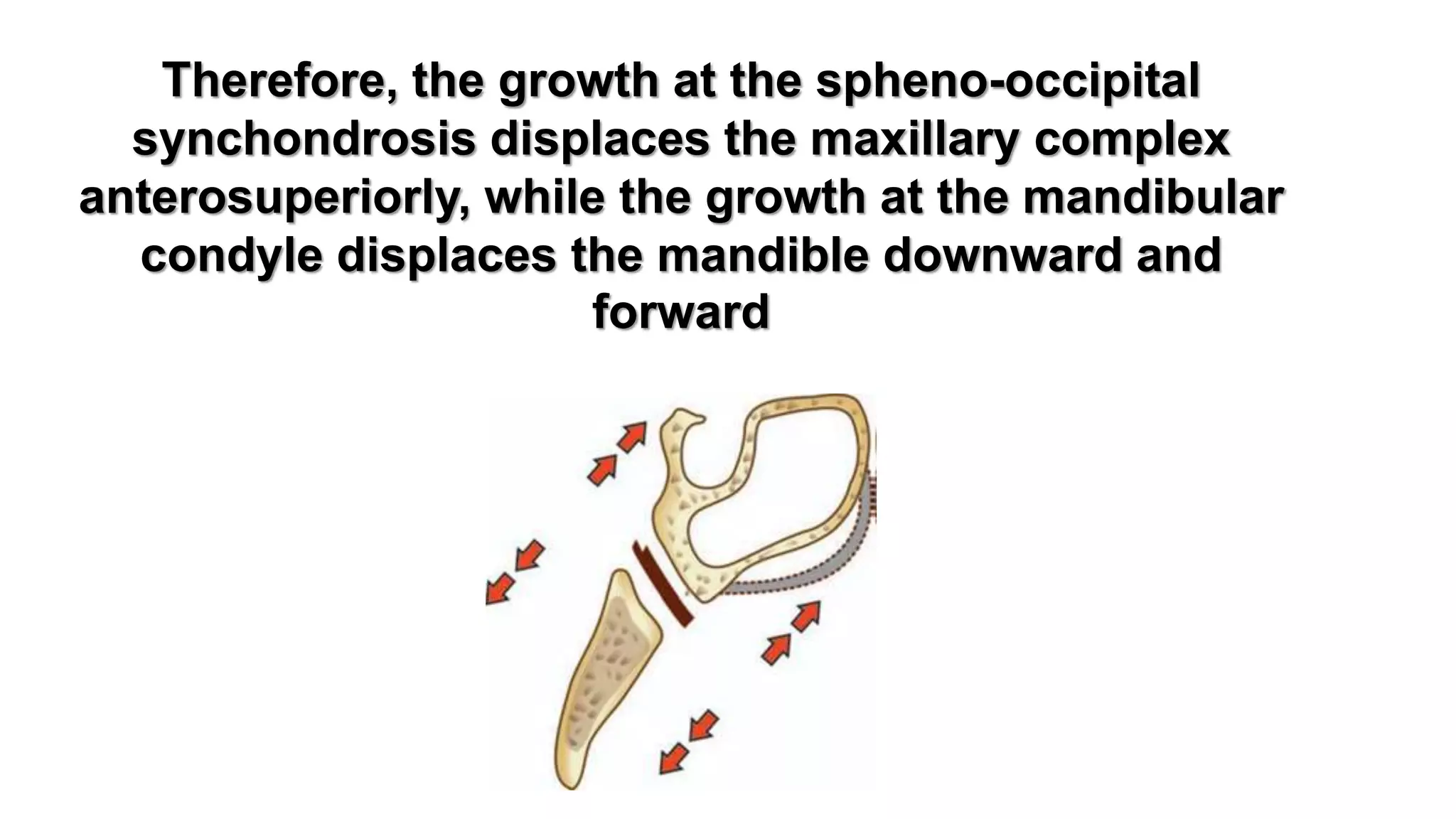 Orthodontic vertical discrepancies 1- LONG FACE | PPTX