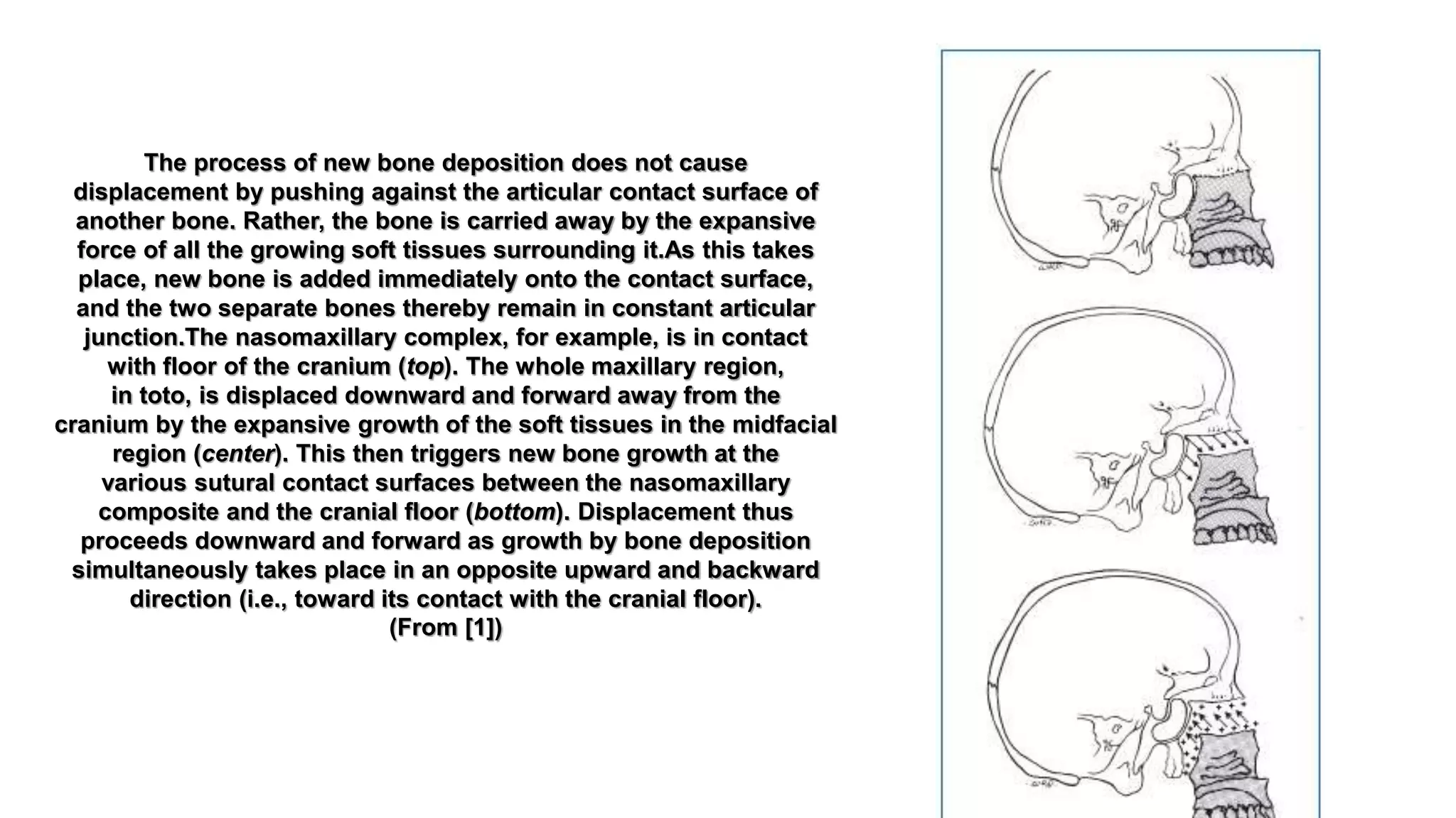 Orthodontic vertical discrepancies 1- LONG FACE | PPTX