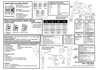 Ortho Essentials.pdf needed to study for orthopaedic | PDF