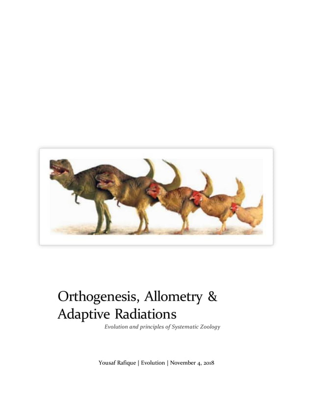 Orthogenesis, Allometry & Adaptive Radiations | DOCX | Biological ...