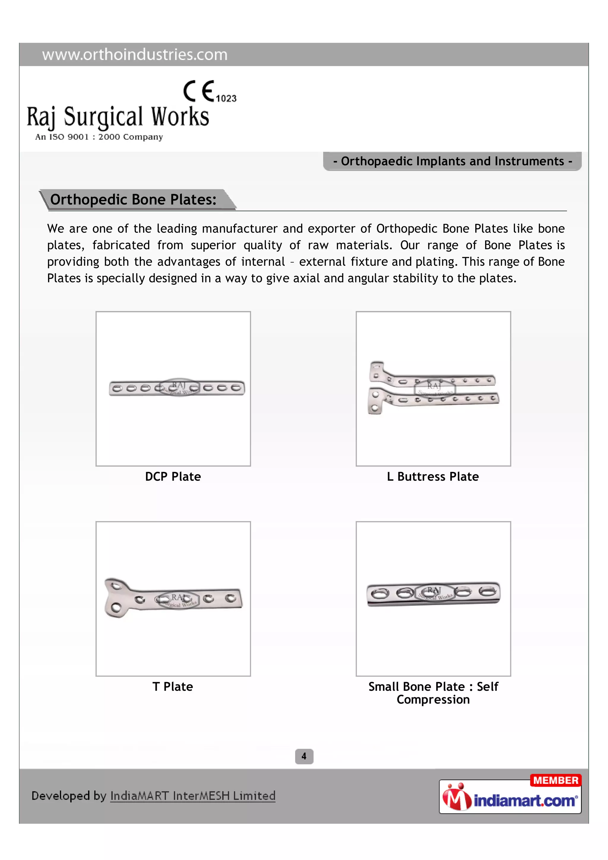 Raj Surgical Works, New Delhi, Orthopaedic Implants Instruments | PDF ...