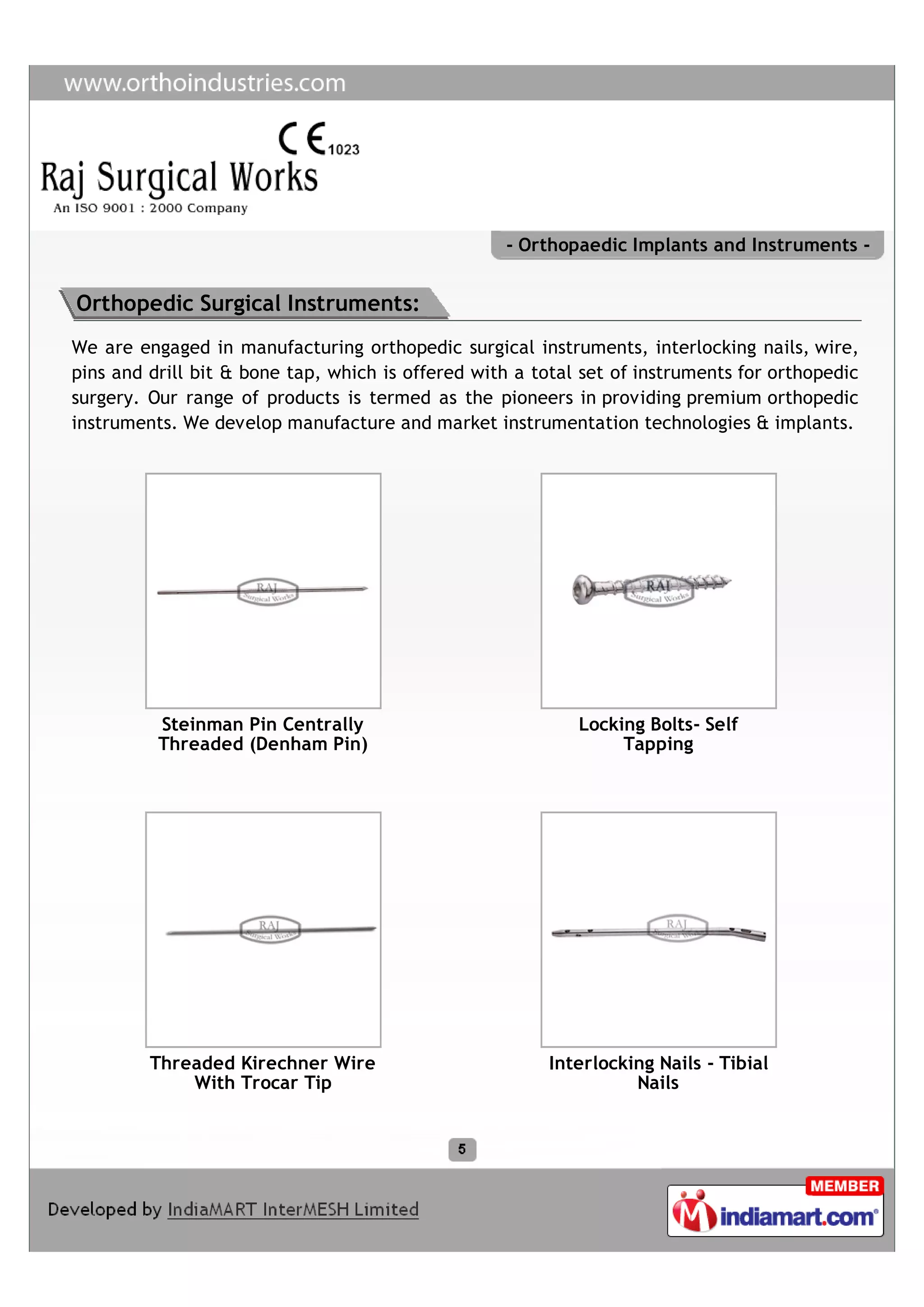 Raj Surgical Works, New Delhi, Orthopaedic Implants Instruments | PDF ...