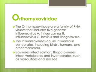 Orthomyxoviridae (2) | PPT