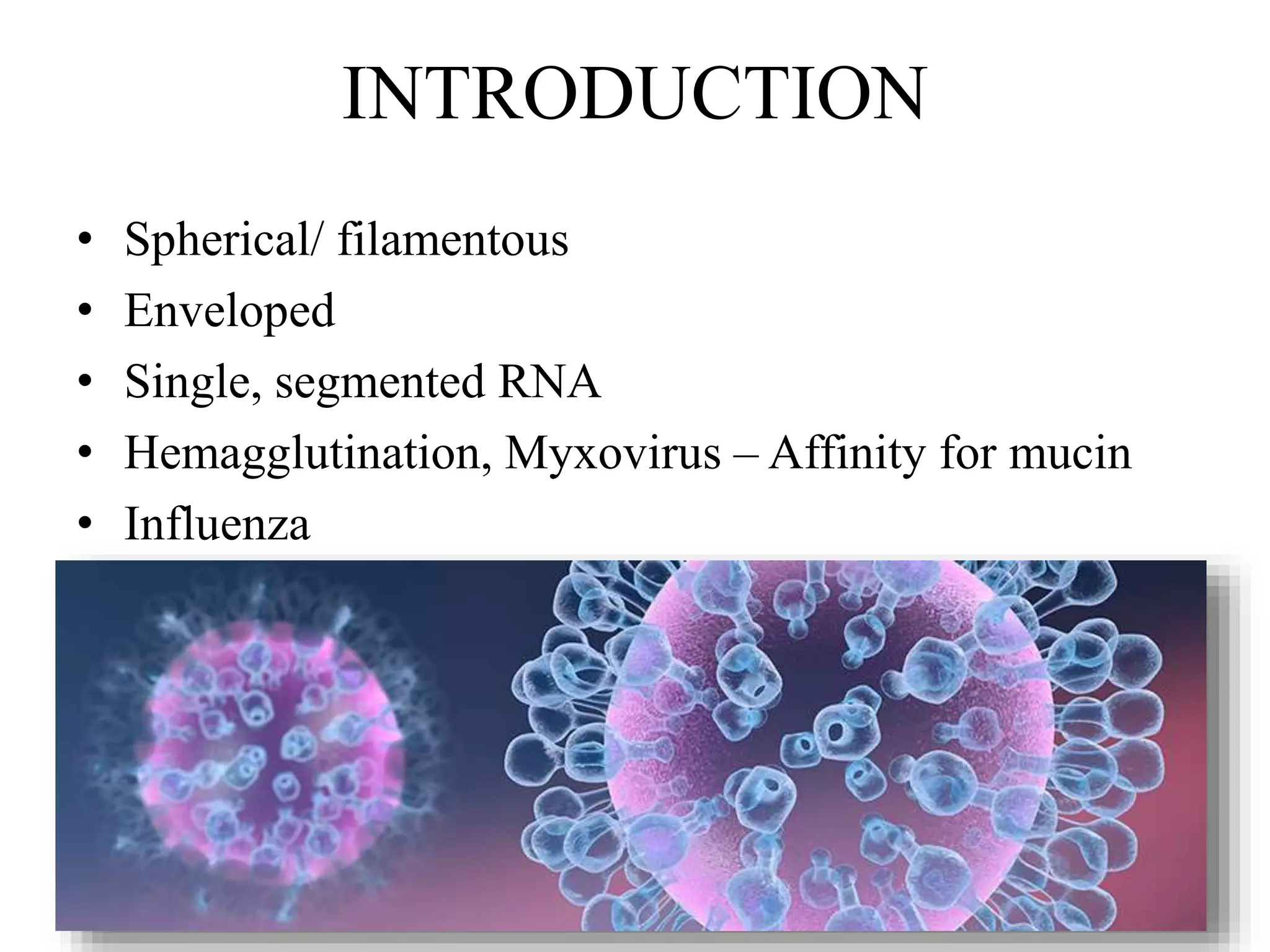Orthomyxovirus - Morphology and laboratory diagnosis | PPTX
