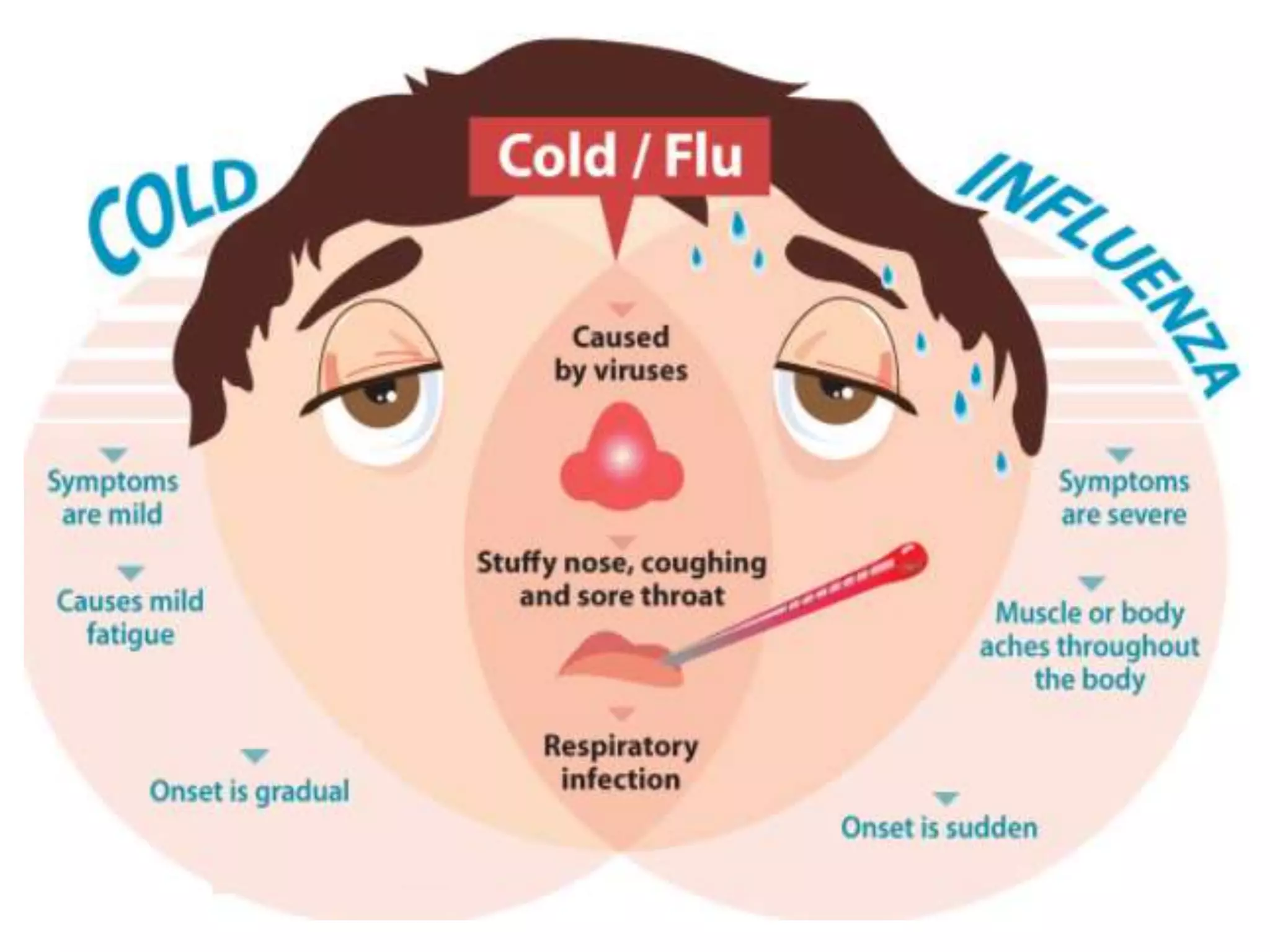 Orthomyxovirus - Morphology and laboratory diagnosis | PPTX