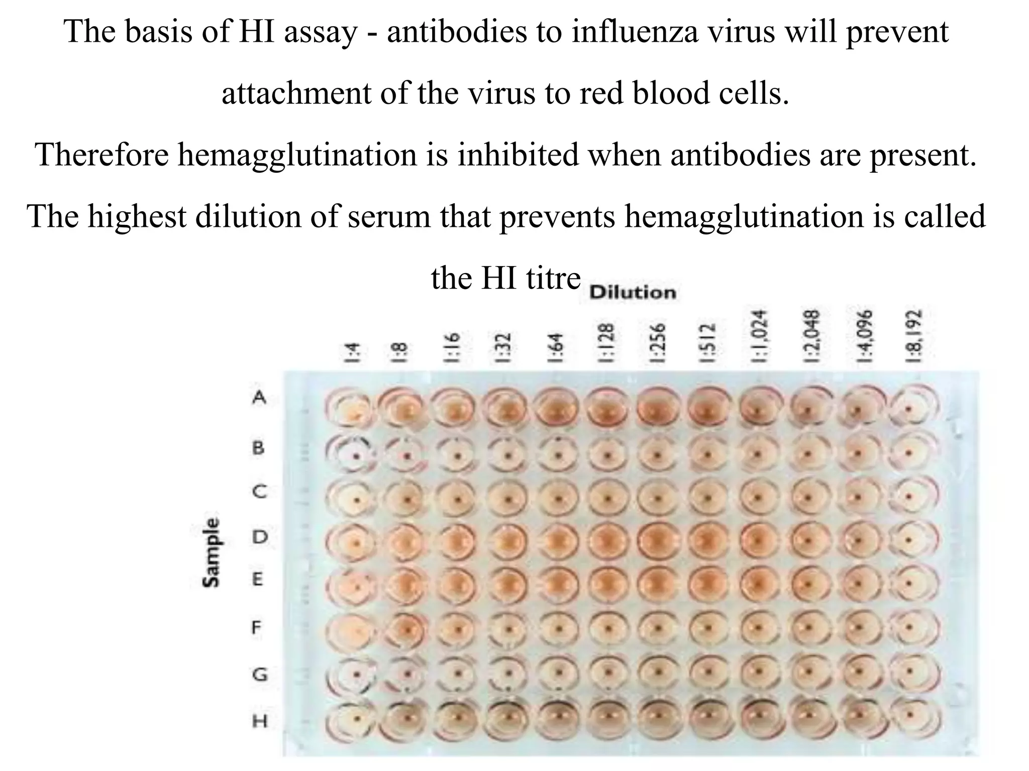 Orthomyxovirus - Morphology and laboratory diagnosis | PPTX