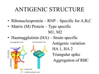 Orthomyxovirus - Morphology and laboratory diagnosis | PPTX
