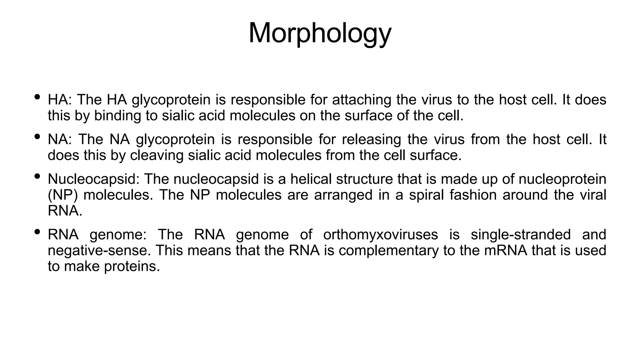 Orthomyxovirus.pptx