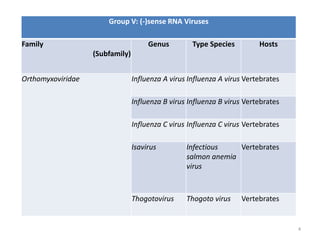 Orthomyxoviruses | PPTX