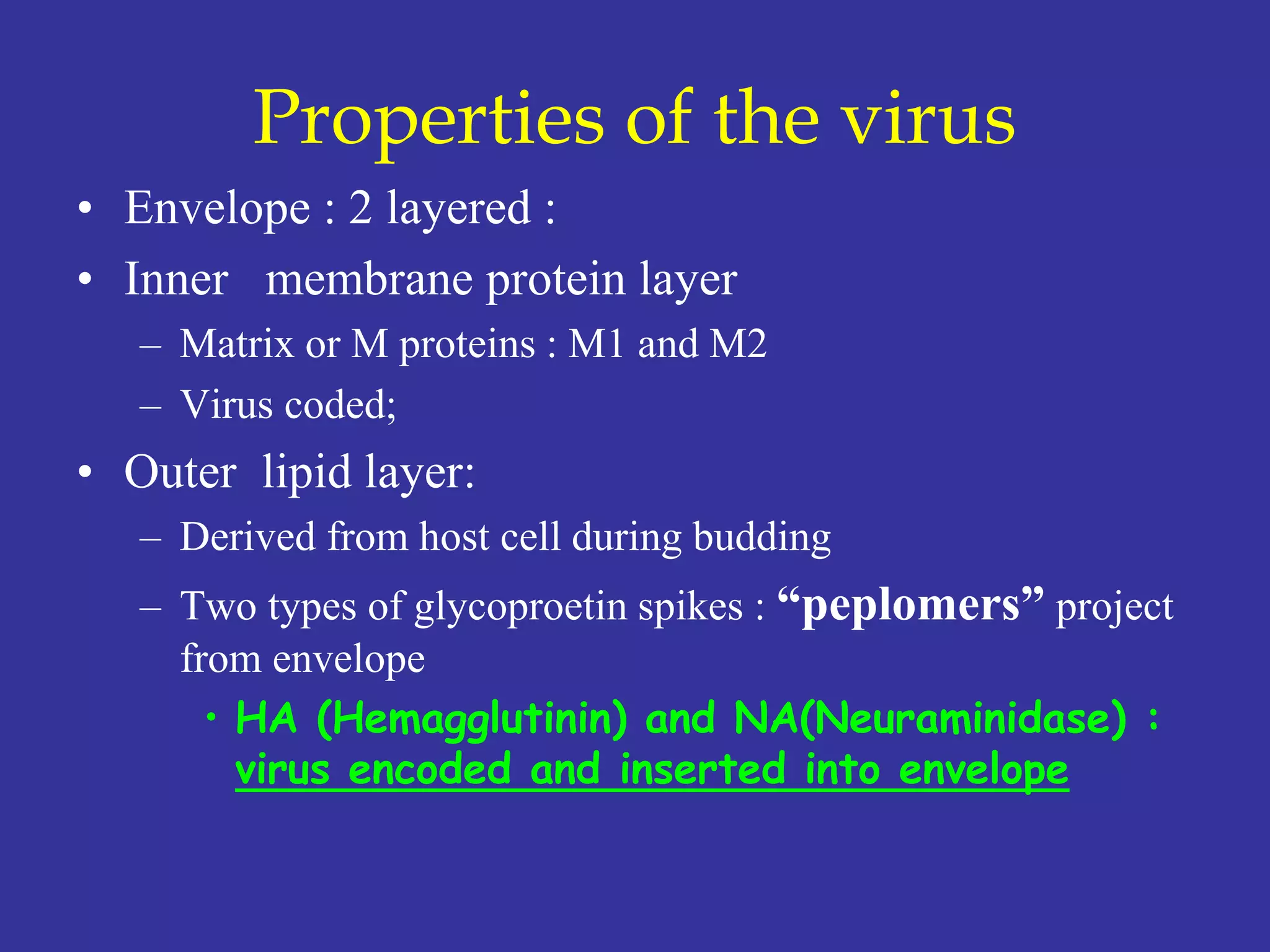 Orthomyxoviruses.ppt