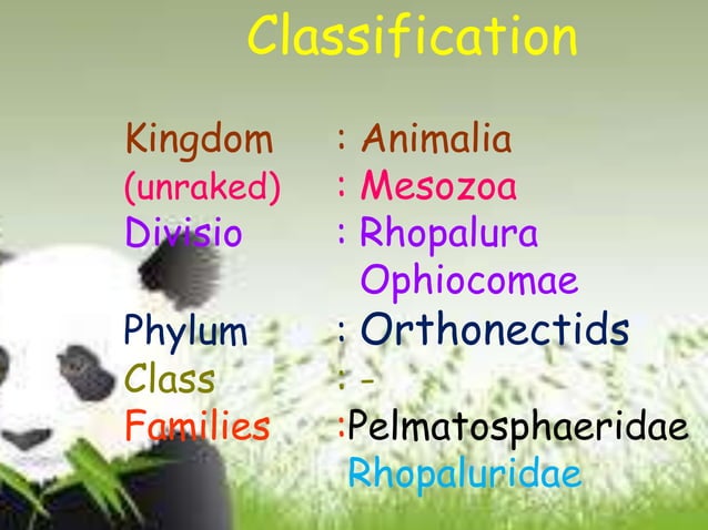 Orthonectida apriliya rohmawati kelas x-2 | PPTX