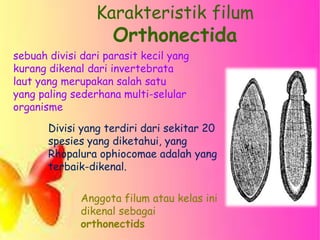 Orthonectida apriliya rohmawati kelas x-2 | PPTX