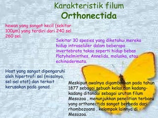 Orthonectida apriliya rohmawati kelas x-2 | PPTX