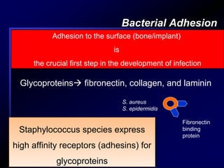 Orthopaedic infection management dr.saroj | PPT