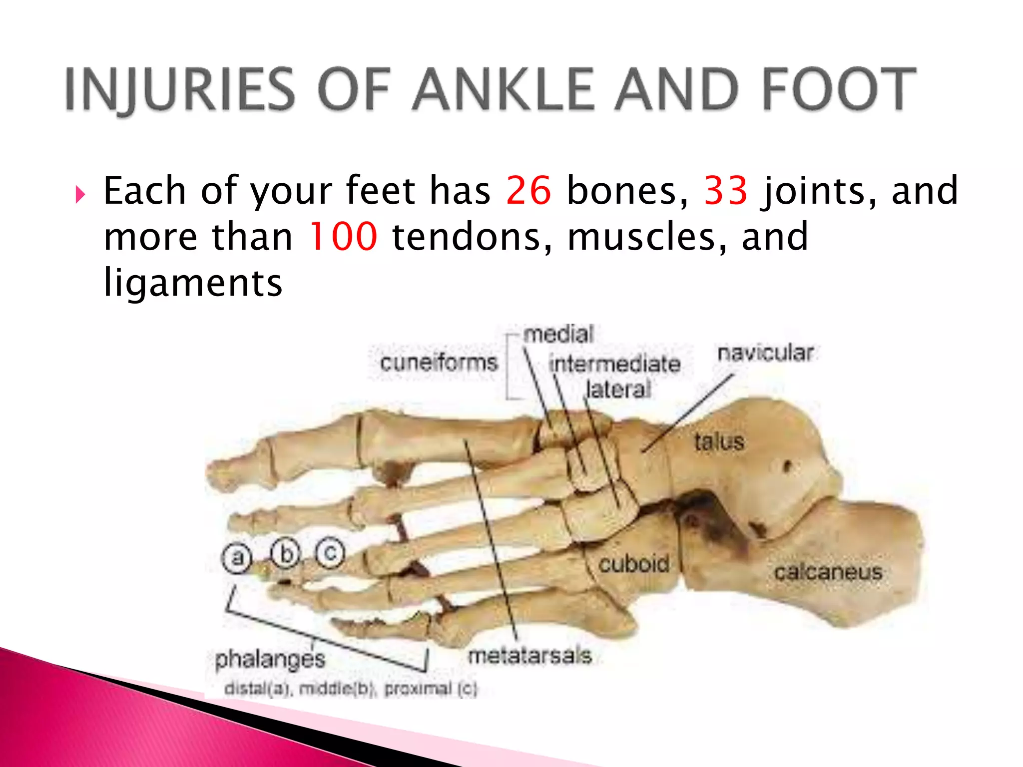 Tibia and fibula diaphysis, ankle and foot injuries | PPTX