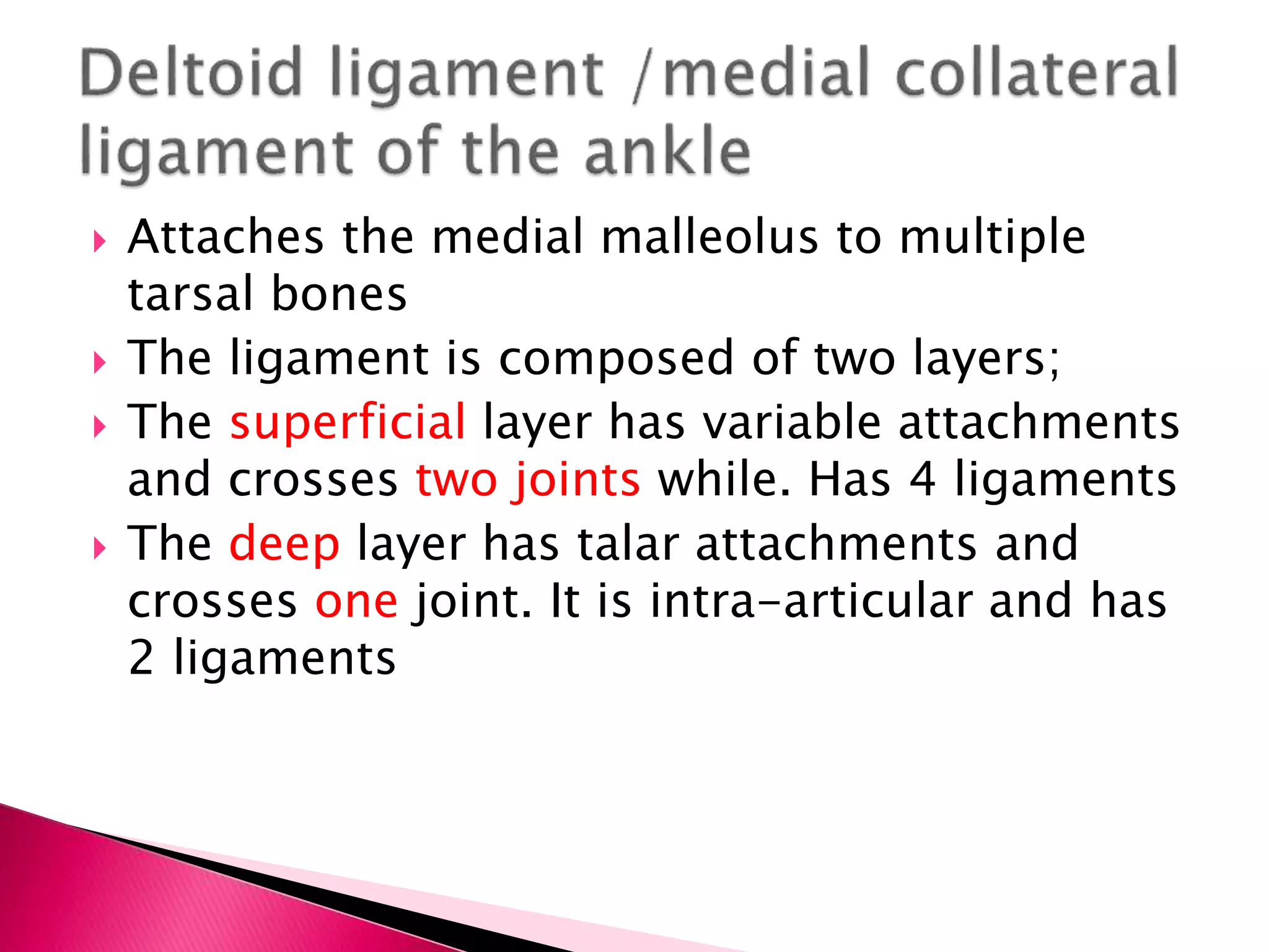 Tibia and fibula diaphysis, ankle and foot injuries | PPTX