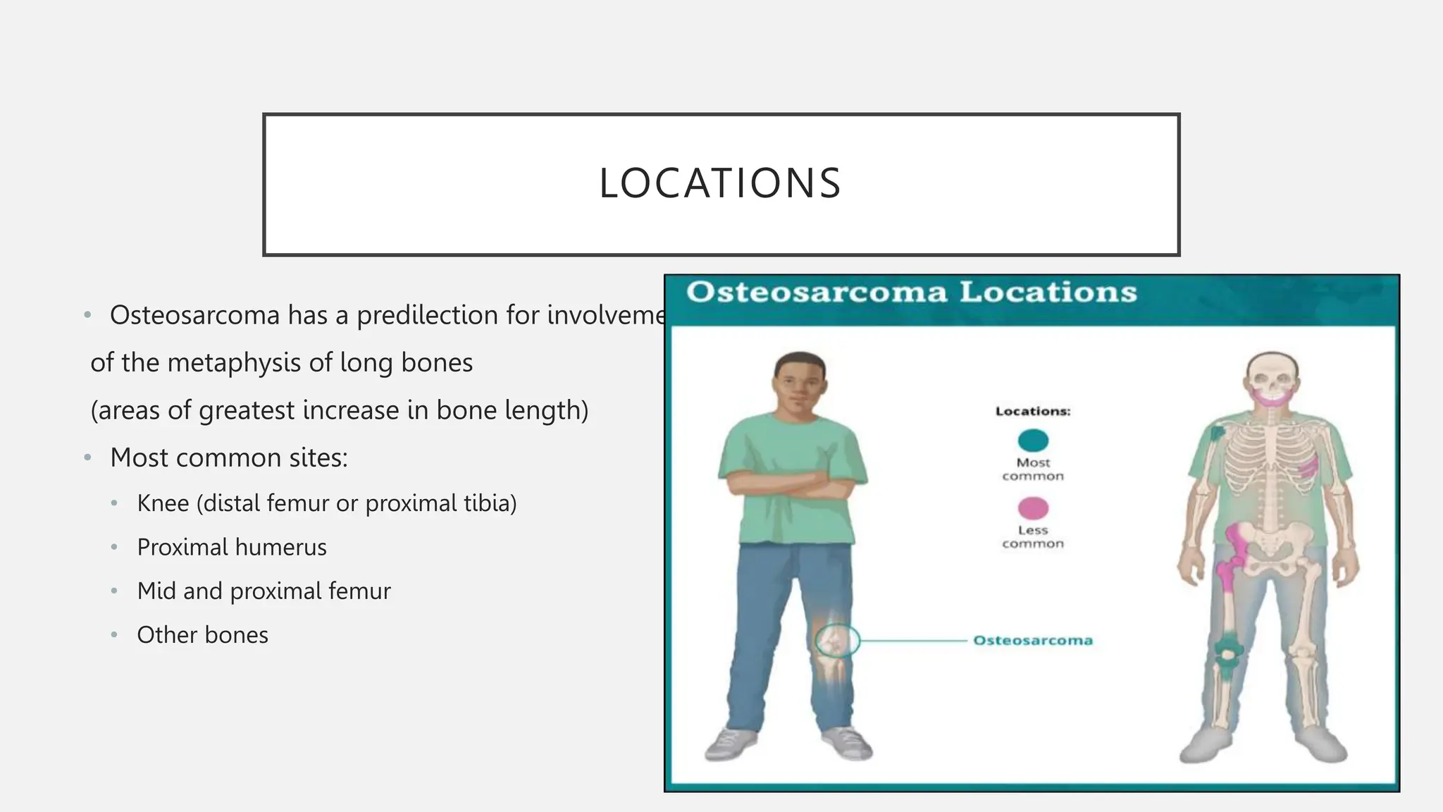 Orthopaedics and pathology integrated– pathology.pptx | Bone and Joint ...