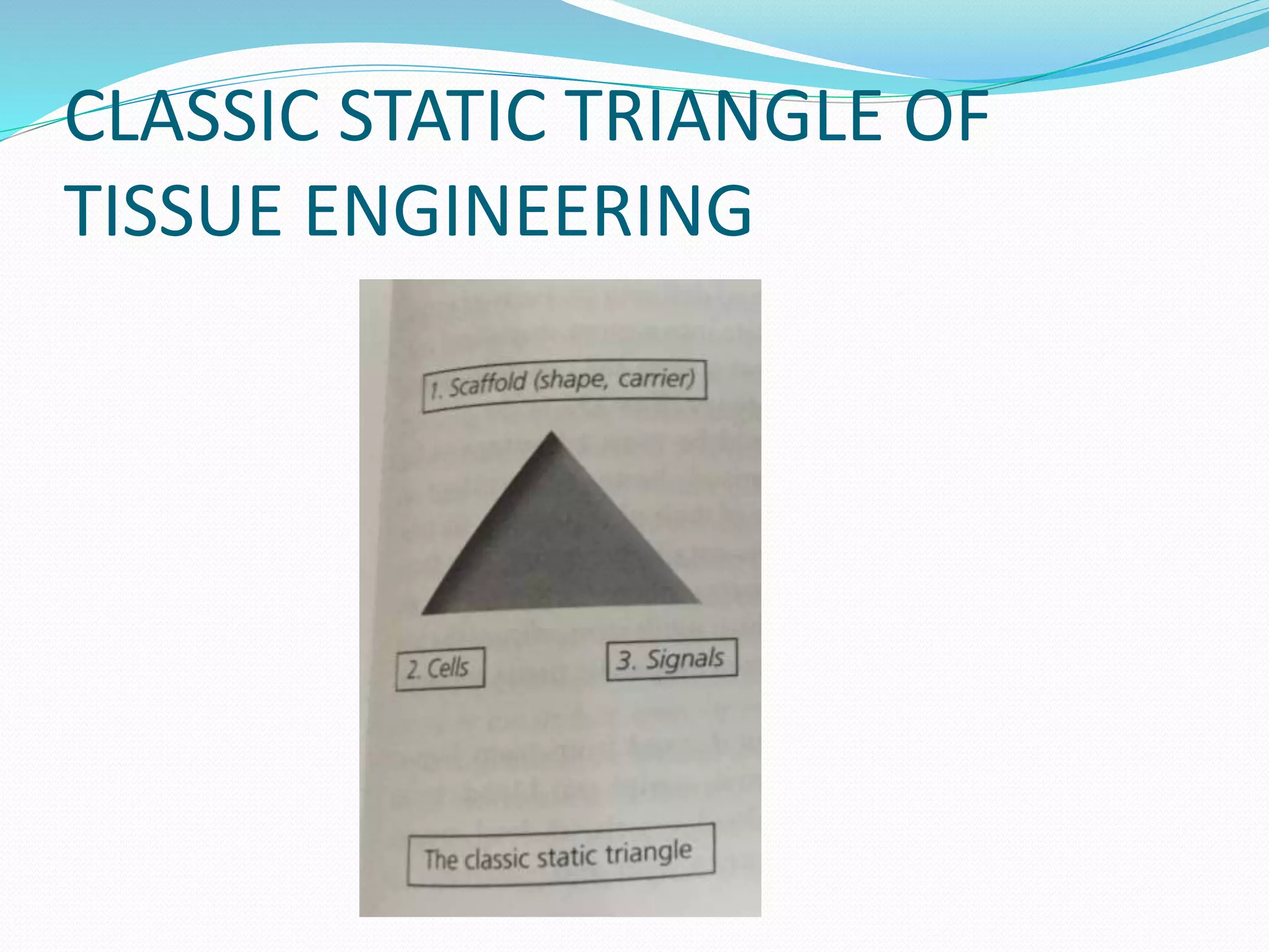 Orthopaedic tissue engineering | PPT