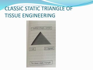 Orthopaedic tissue engineering | PPTX