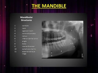 Orthopantomogram.ppt