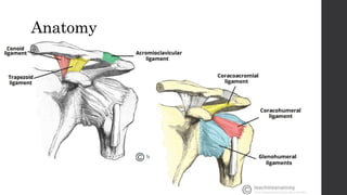 Ant.shoulder dislocation | PPTX