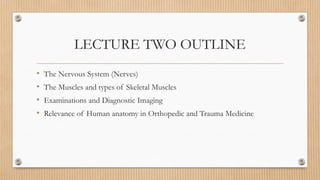ORTHOPEDIC AND TRAUMA MEDICINE TRAINING GUIDELINE.pptx