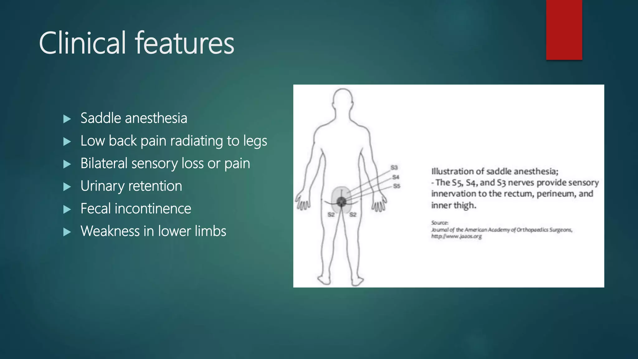 Orthopedic emergencies | PPTX