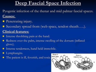 Orthopedics 5th year, 5th lecture (Dr. Ariwan) | PPT