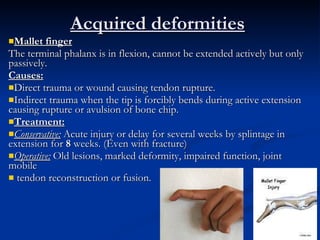 Orthopedics 5th year, 5th lecture (Dr. Ariwan) | PPT
