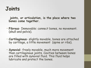 orthopedics : Human Skeletal system Anatomy and diseases | PPTX