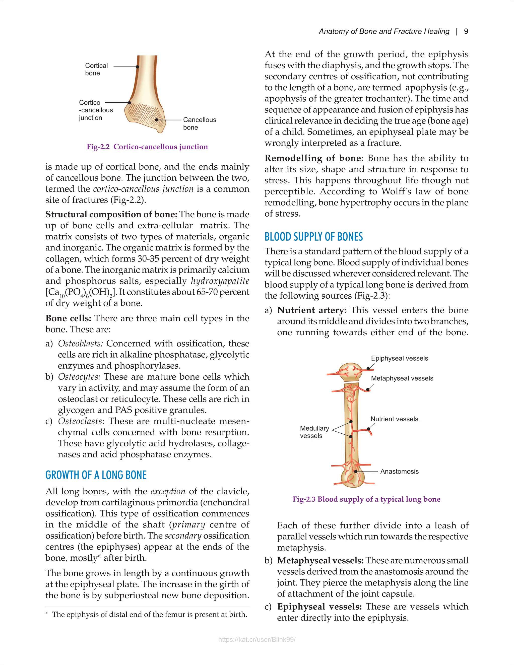 Orthopedics Maheshwari 5th edition.pdf
