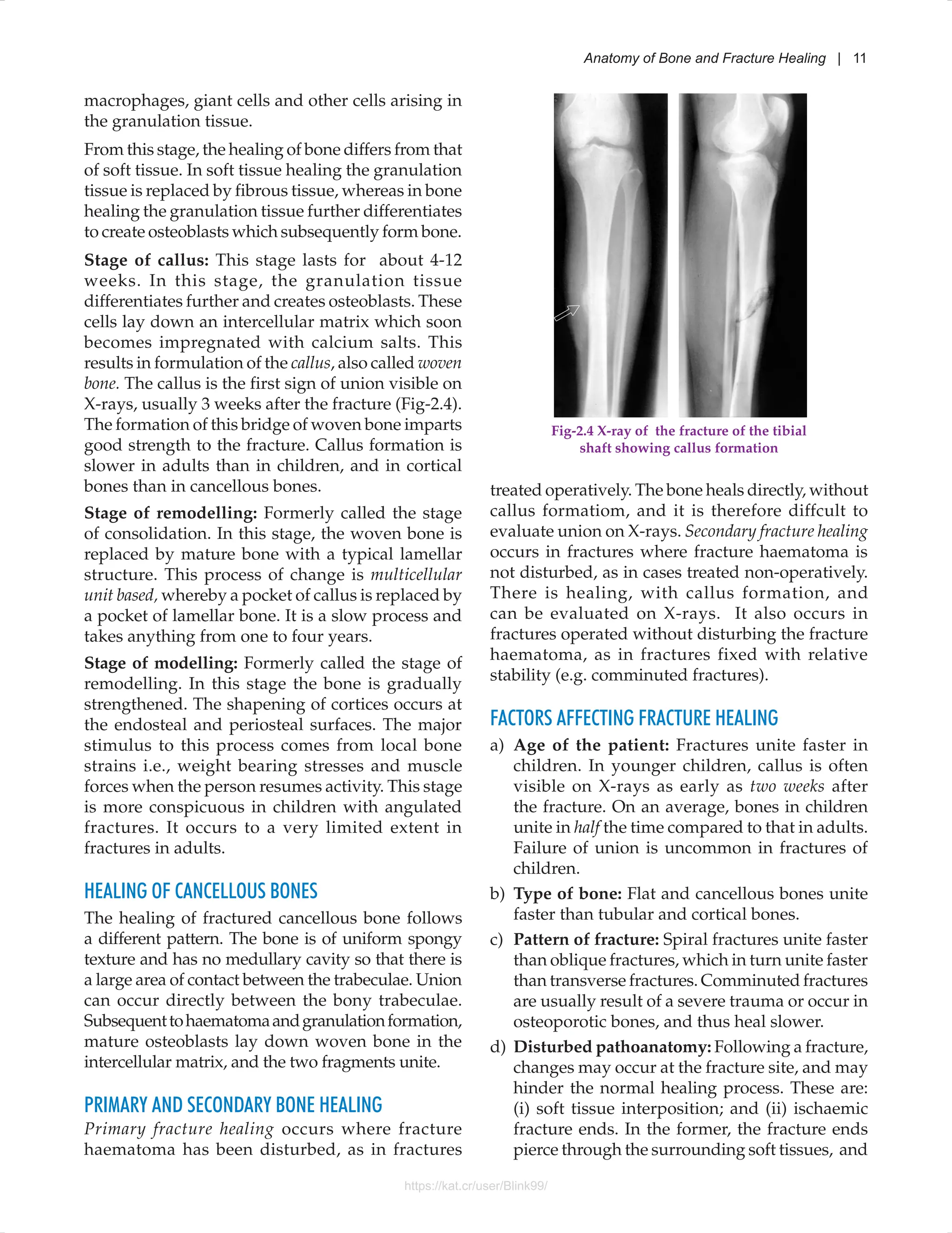 Orthopedics Maheshwari 5th edition.pdf