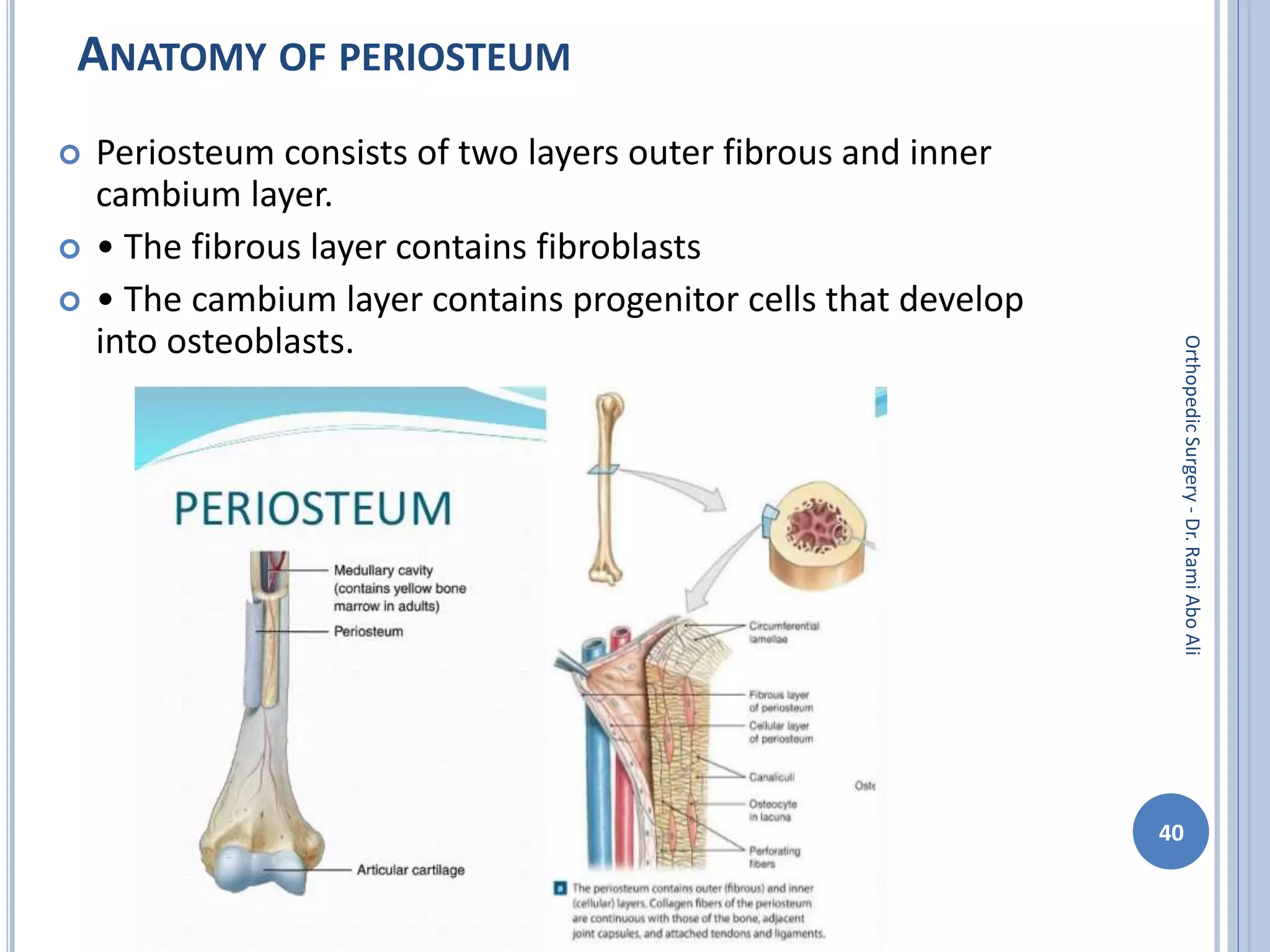 Introduction to Orthopedic surgery | PPTX
